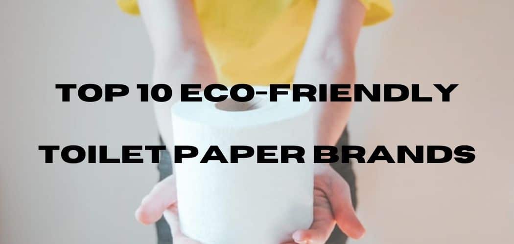 Top 10 Eco friendly Toilet Paper Brands Ethically Engineered top-10-eco-friendly-toilet-paper-brands-ethically-engineered